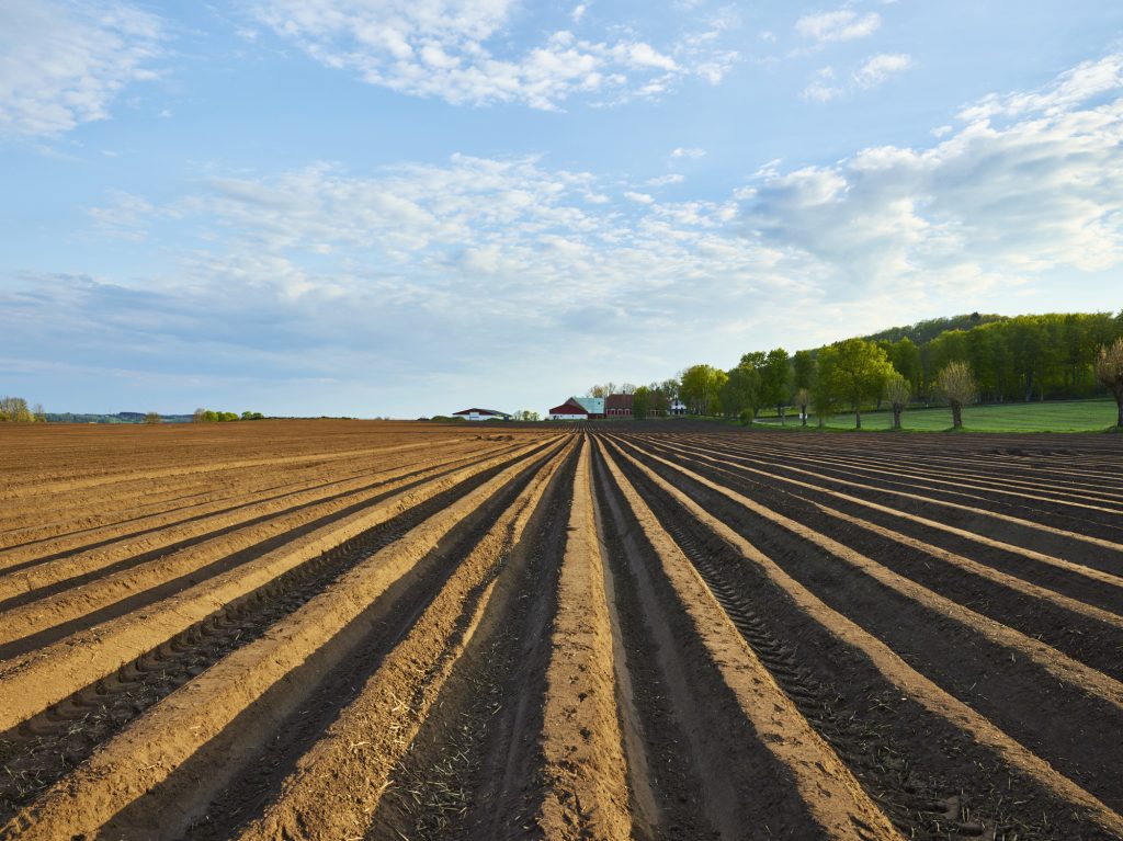 ¿Conocemos la relevancia de los agroinsumos? - Blog del Grupo Cajamar